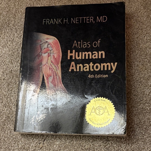 Office | Frank H Netter Atlas Of Human Anatomy 4th Edition Book | Poshmark